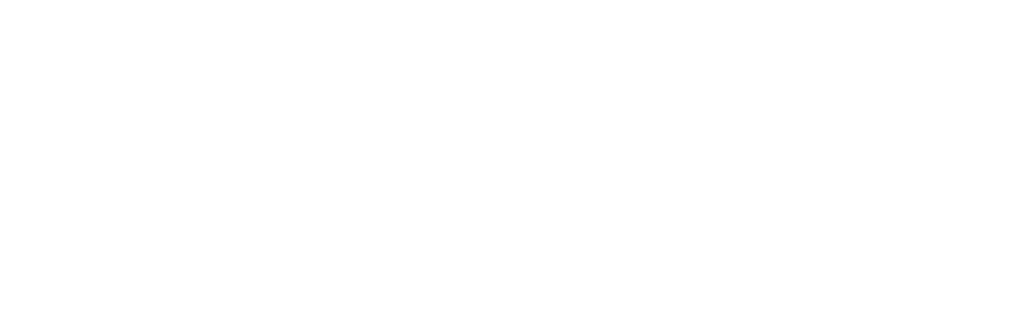 Transformer Inrush Current Limiter | SynchroTeq | Vizimax